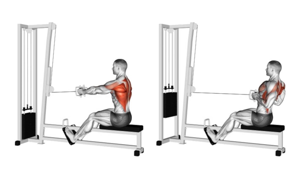 Cómo Hacer Remo con Barra, Guía para Principiantes